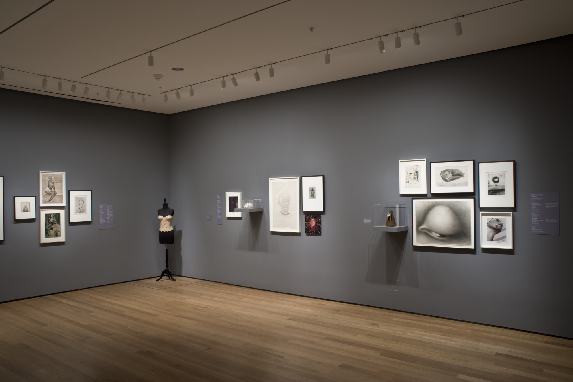 Installation view of the exhibition "Wunderkammer: A Century of ...
