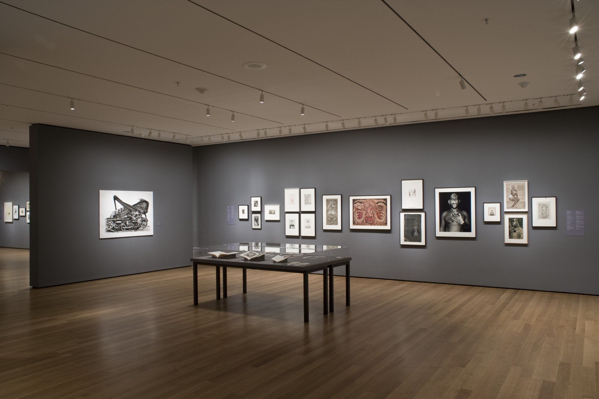 Installation view of the exhibition "Wunderkammer: A Century of ...