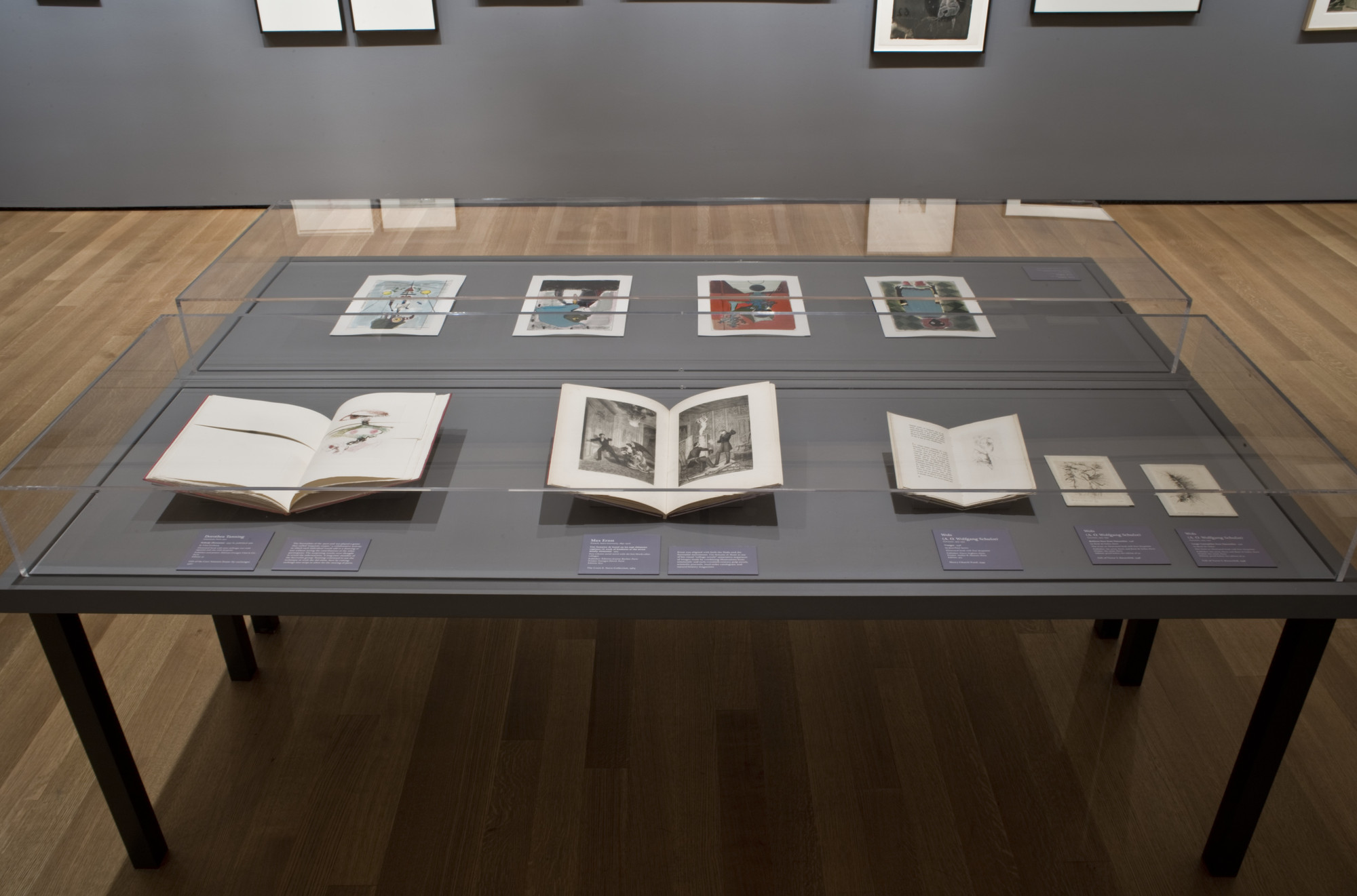 Installation view of the exhibition "Wunderkammer: A Century of ...