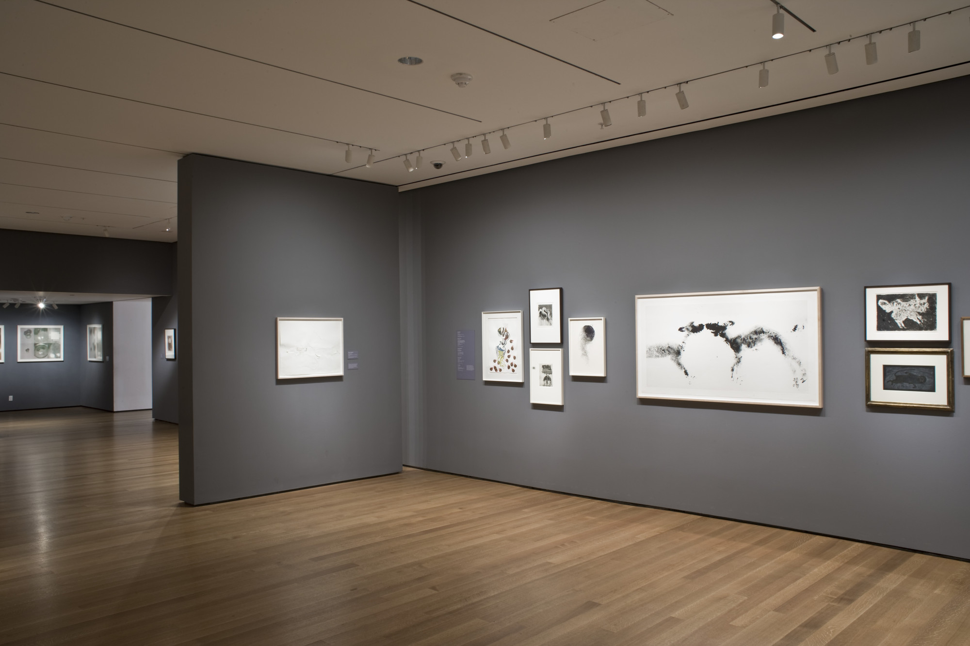Installation view of the exhibition "Wunderkammer: A Century of ...