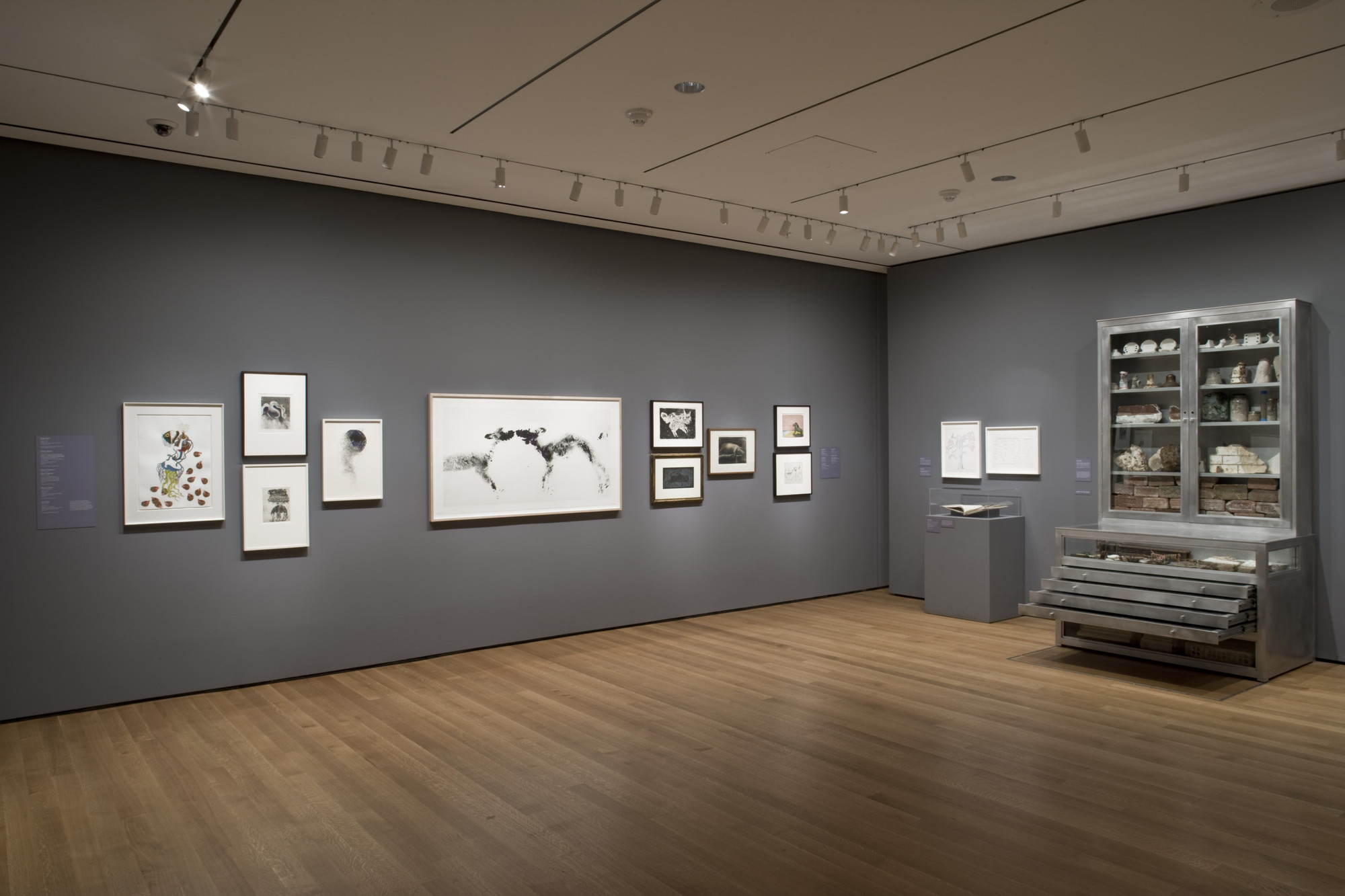 Installation view of the exhibition "Wunderkammer: A Century of ...