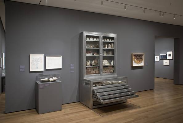 Mark Dion. Cabinet (from Project 82 - "Rescue Archeology: A Project for ...