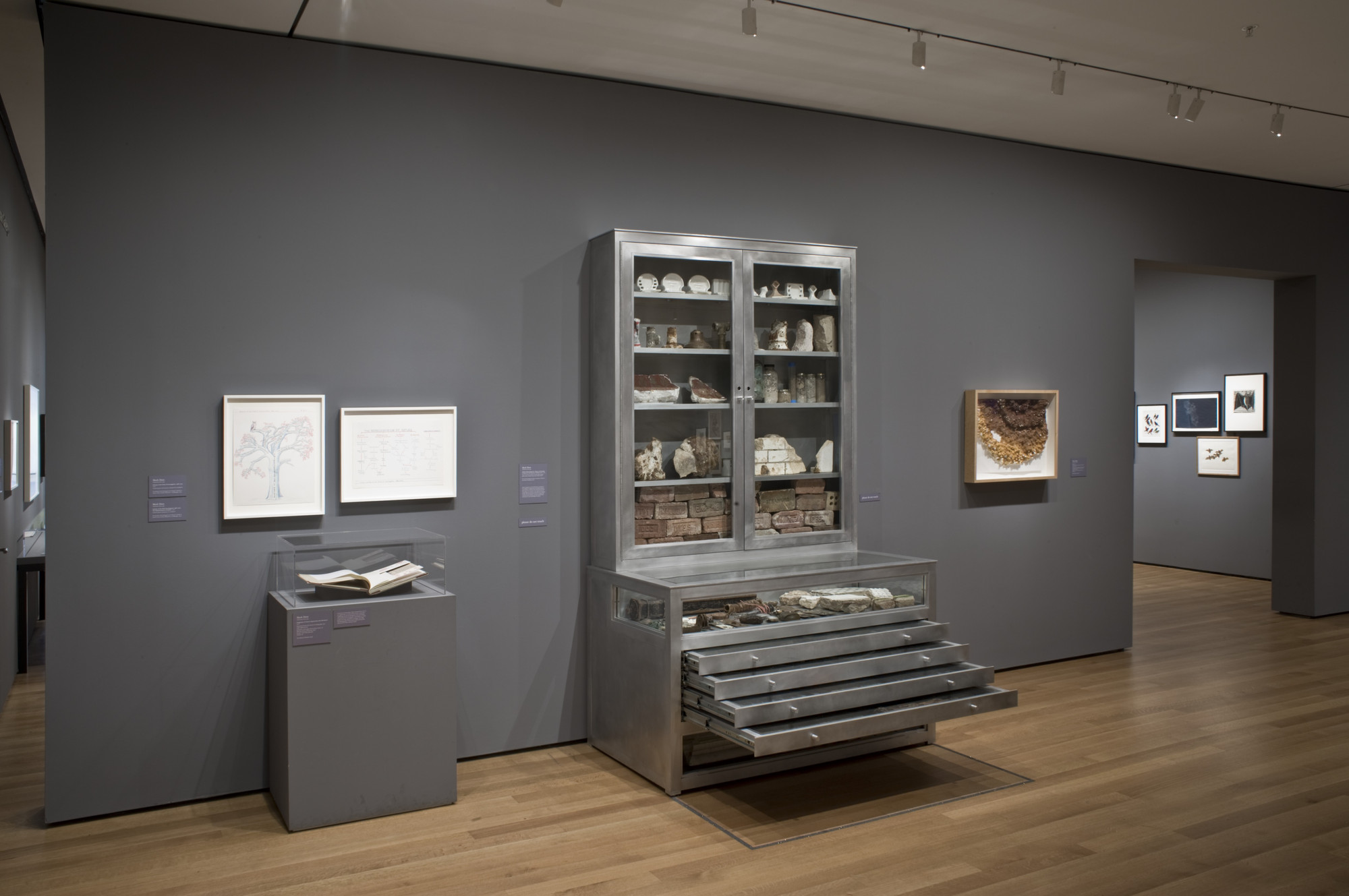Installation view of the exhibition "Wunderkammer: A Century of ...