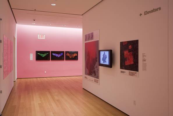 Laura Kurgan, Eric Cadora, David Reinfurt, Sarah Williams, Spatial ...