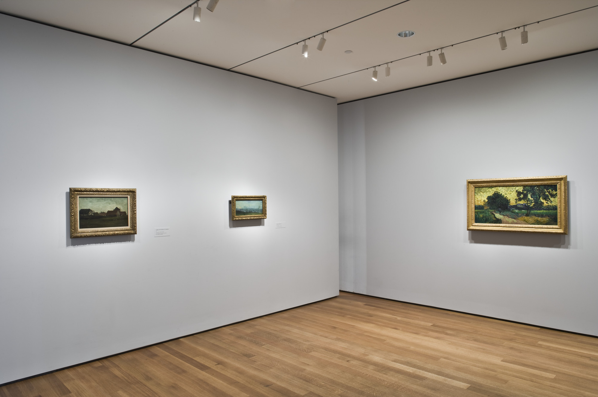 Installation view of the exhibition "van Gogh and the Colors of the ...