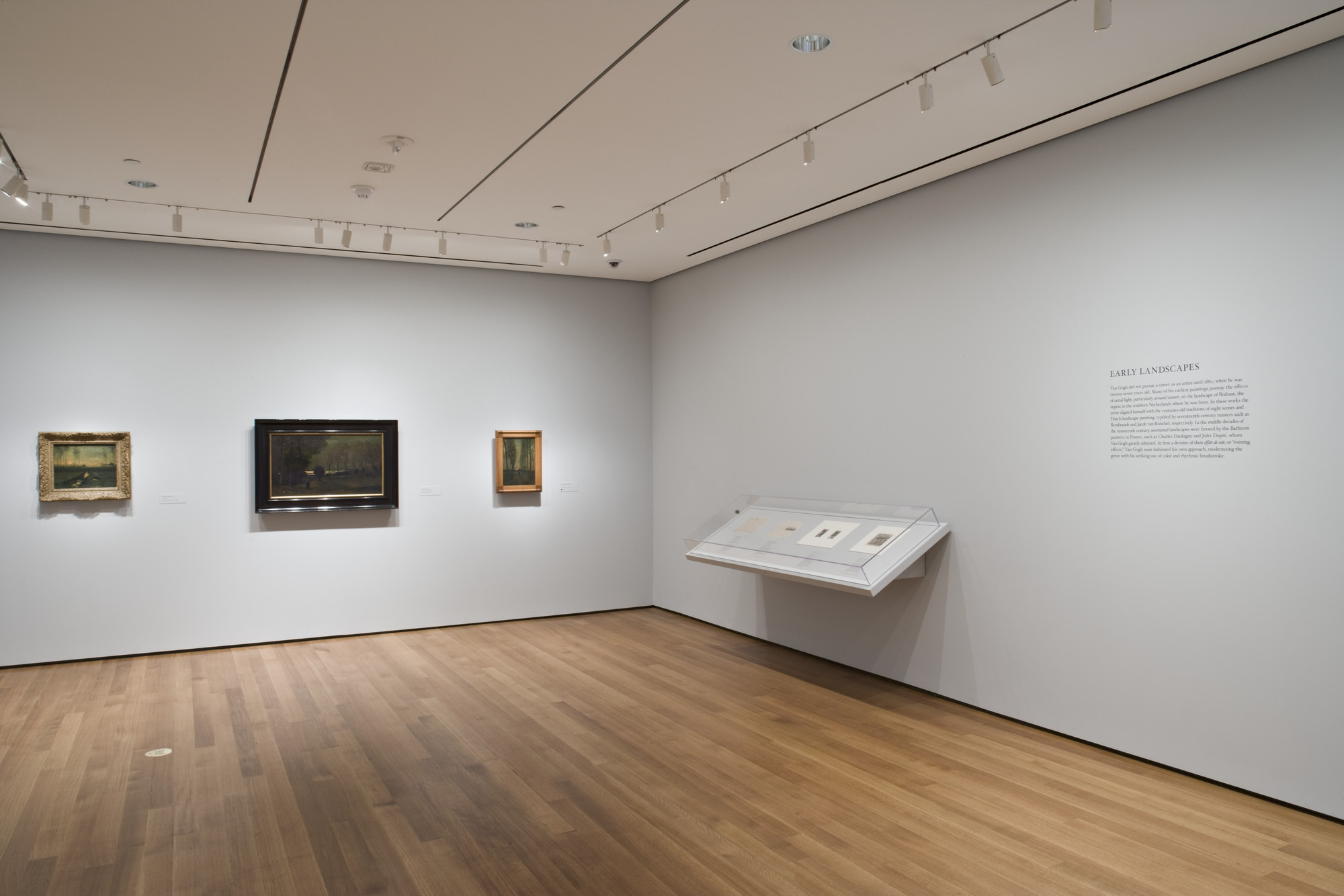 Installation view of the exhibition "van Gogh and the Colors of the ...