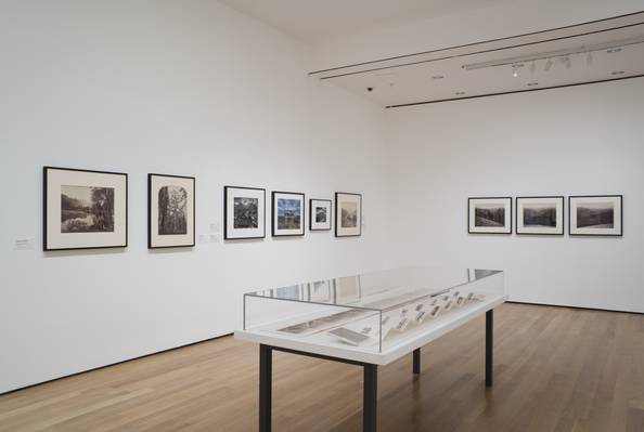 Minor White. Grand Teton National Park, Wyoming. 1959 | MoMA