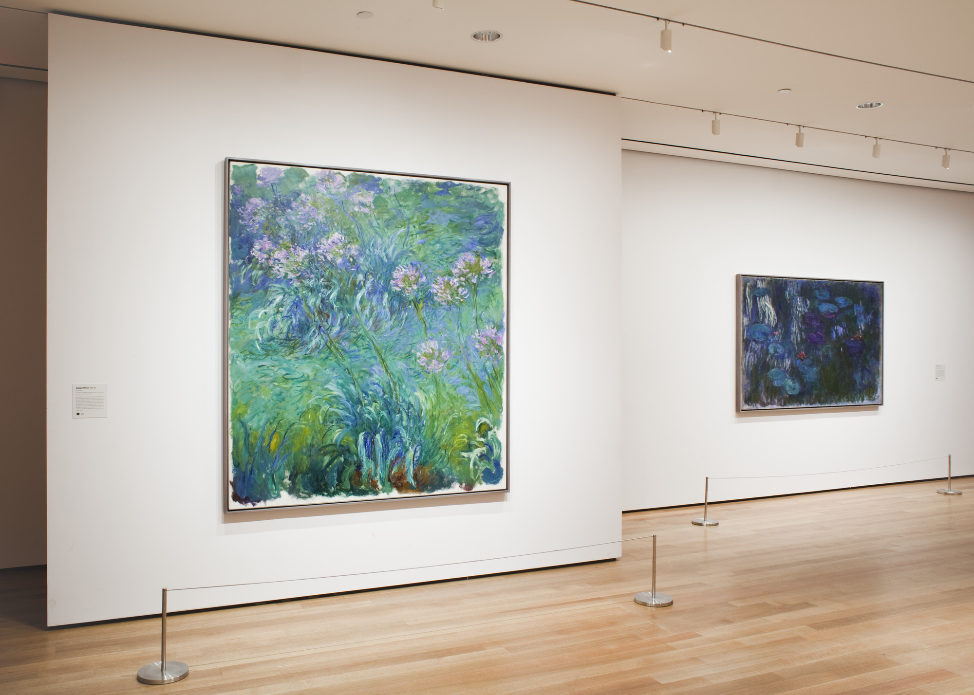 Installation view of the exhibition "Monet's Water Lilies" | MoMA