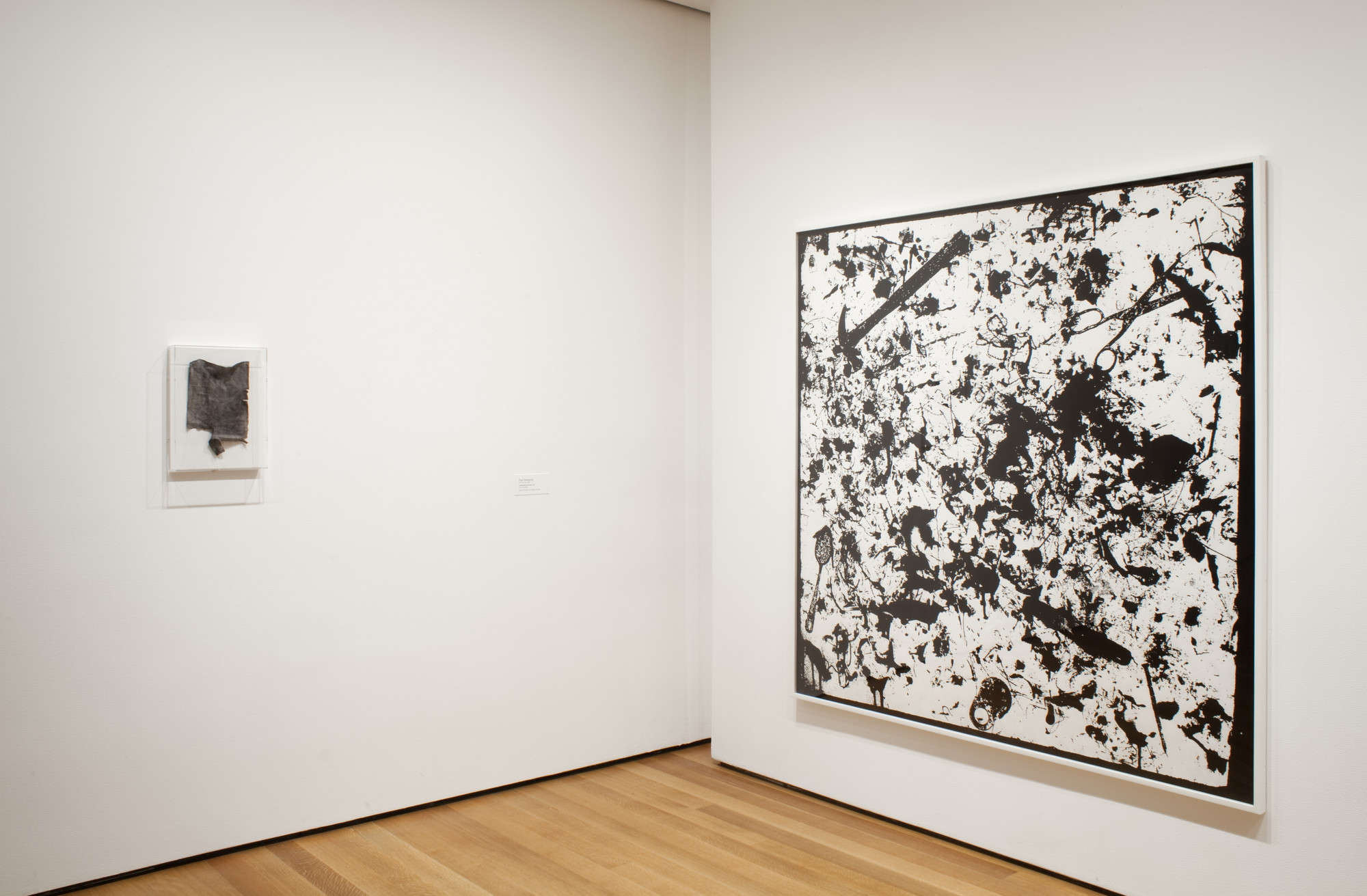 Installation view of the exhibition "Paul Sietsema" | MoMA