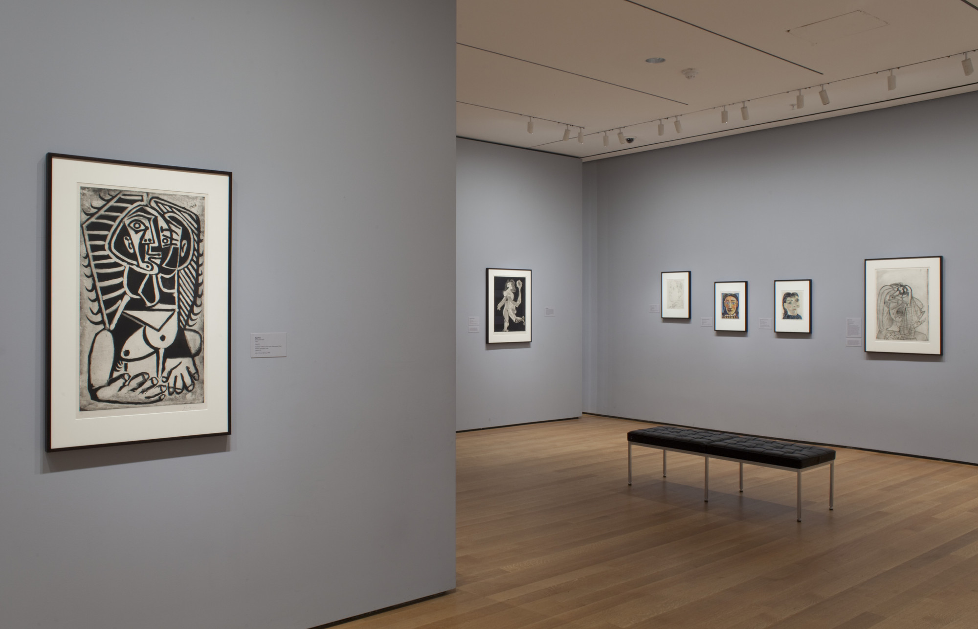 Installation view of the exhibition "Picasso: Themes and Variations" | MoMA