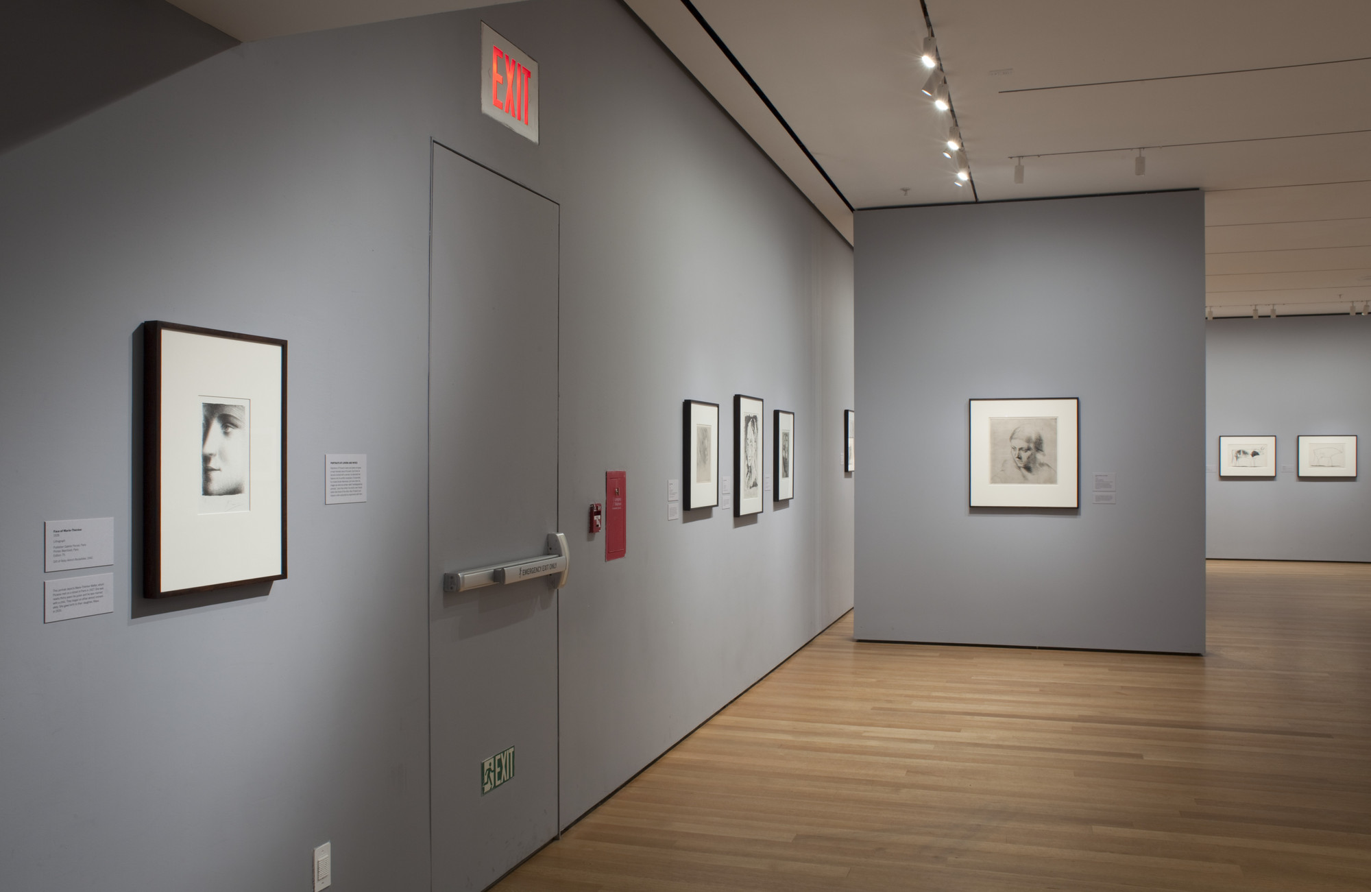 Installation view of the exhibition "Picasso: Themes and Variations" | MoMA