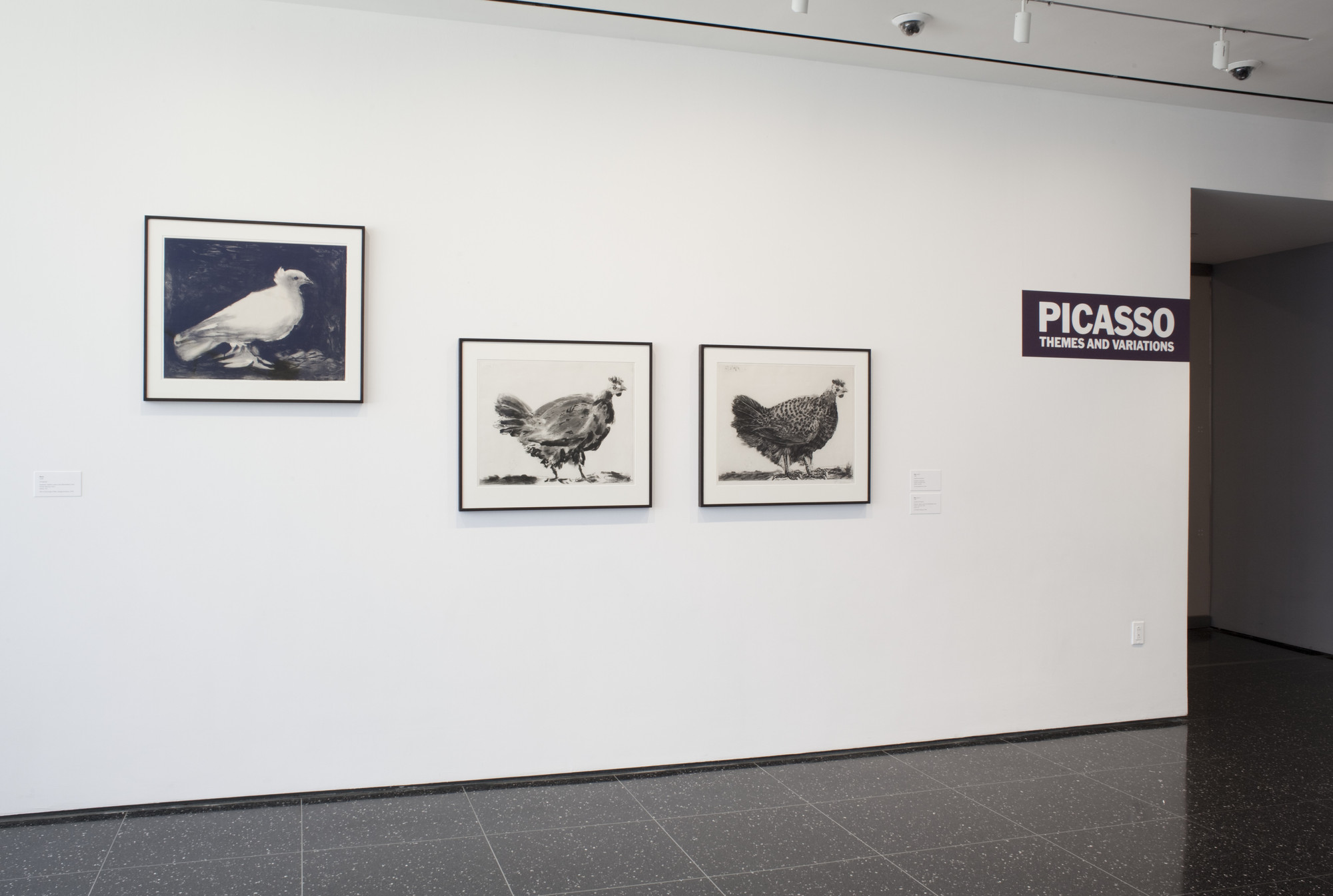 Installation view of the exhibition "Picasso: Themes and Variations" | MoMA