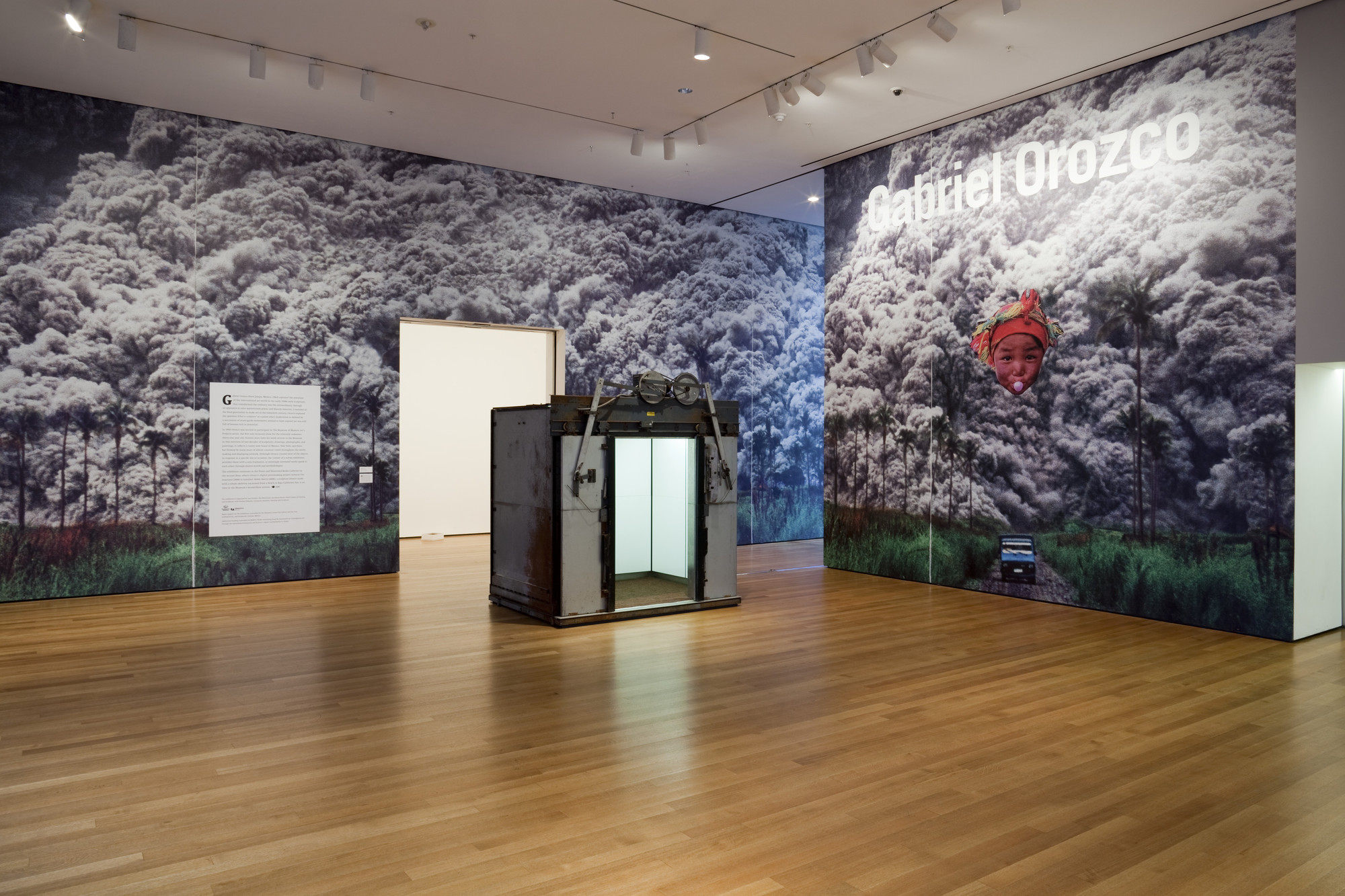 Installation view of the exhibition "Gabriel Orozco" | MoMA