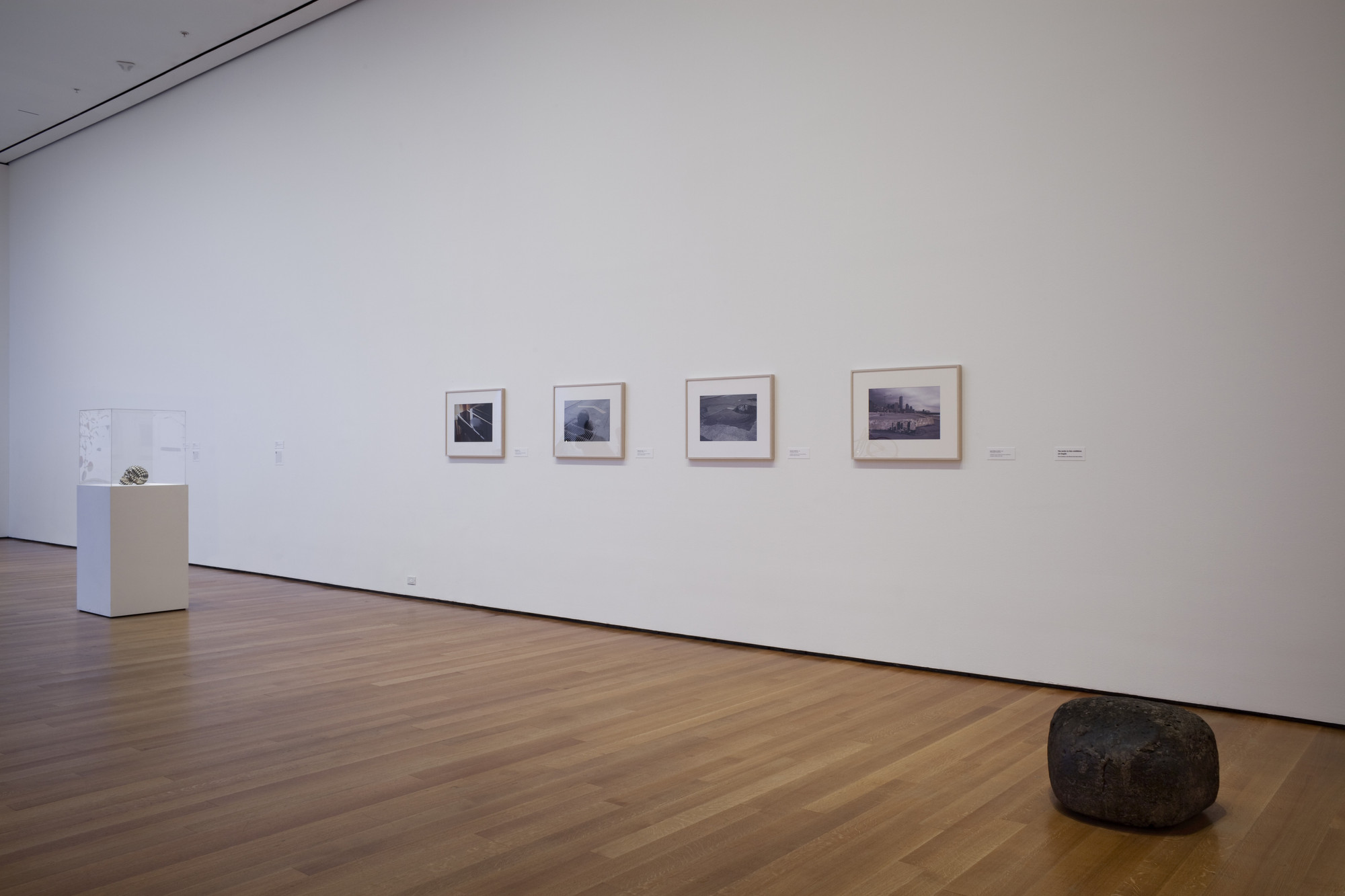 Installation view of the exhibition "Gabriel Orozco" | MoMA