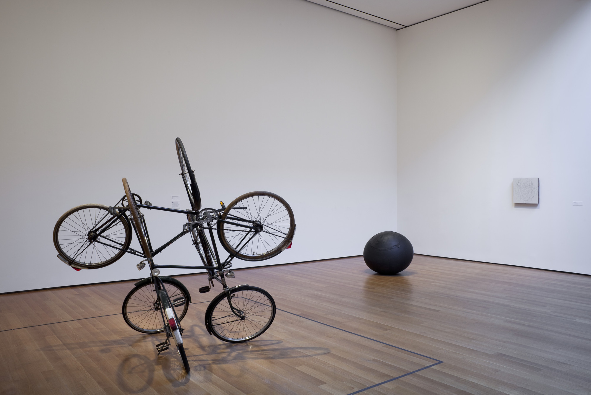 Installation view of the exhibition "Gabriel Orozco" | MoMA