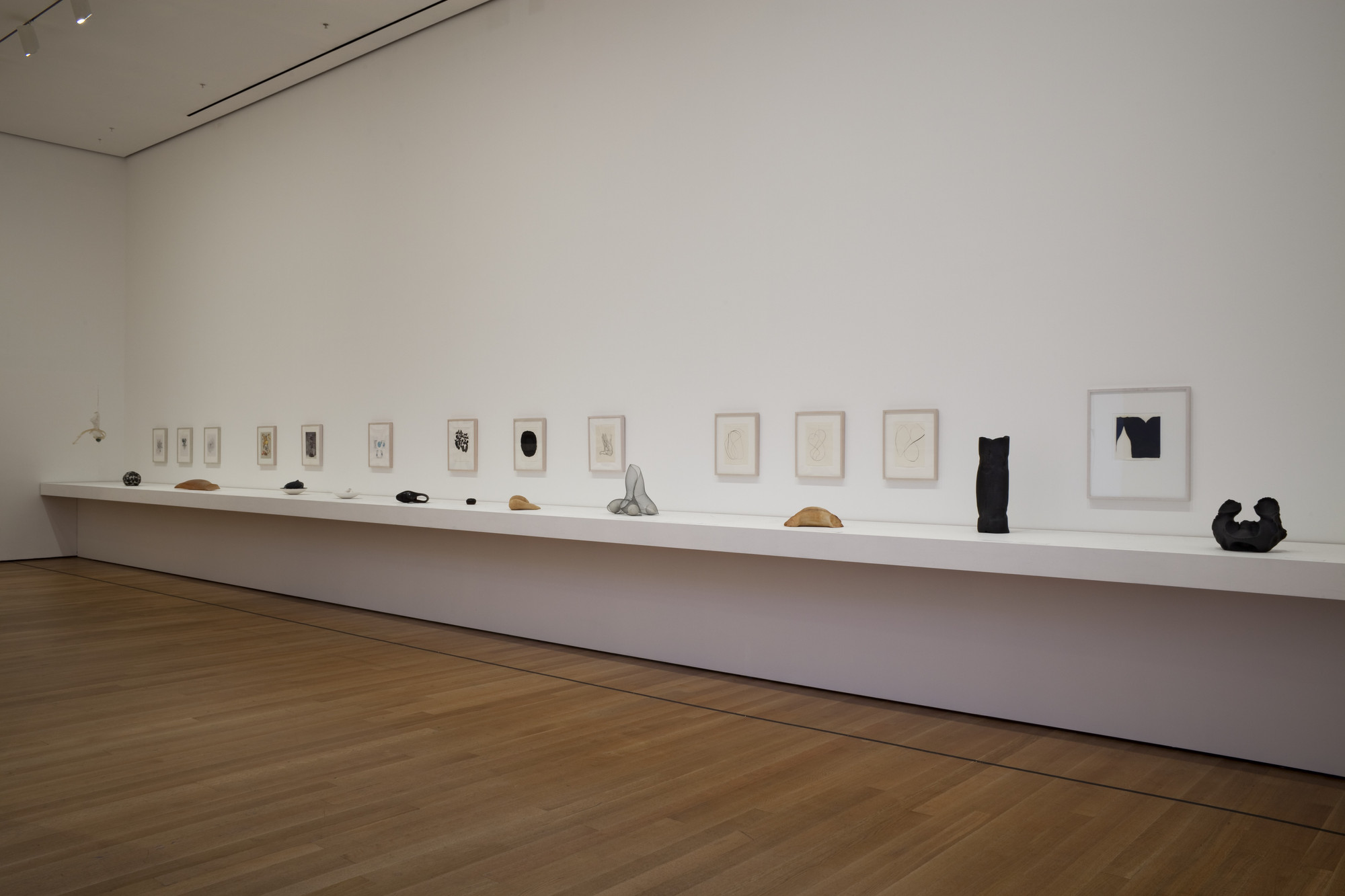 Installation view of the exhibition "Gabriel Orozco" | MoMA