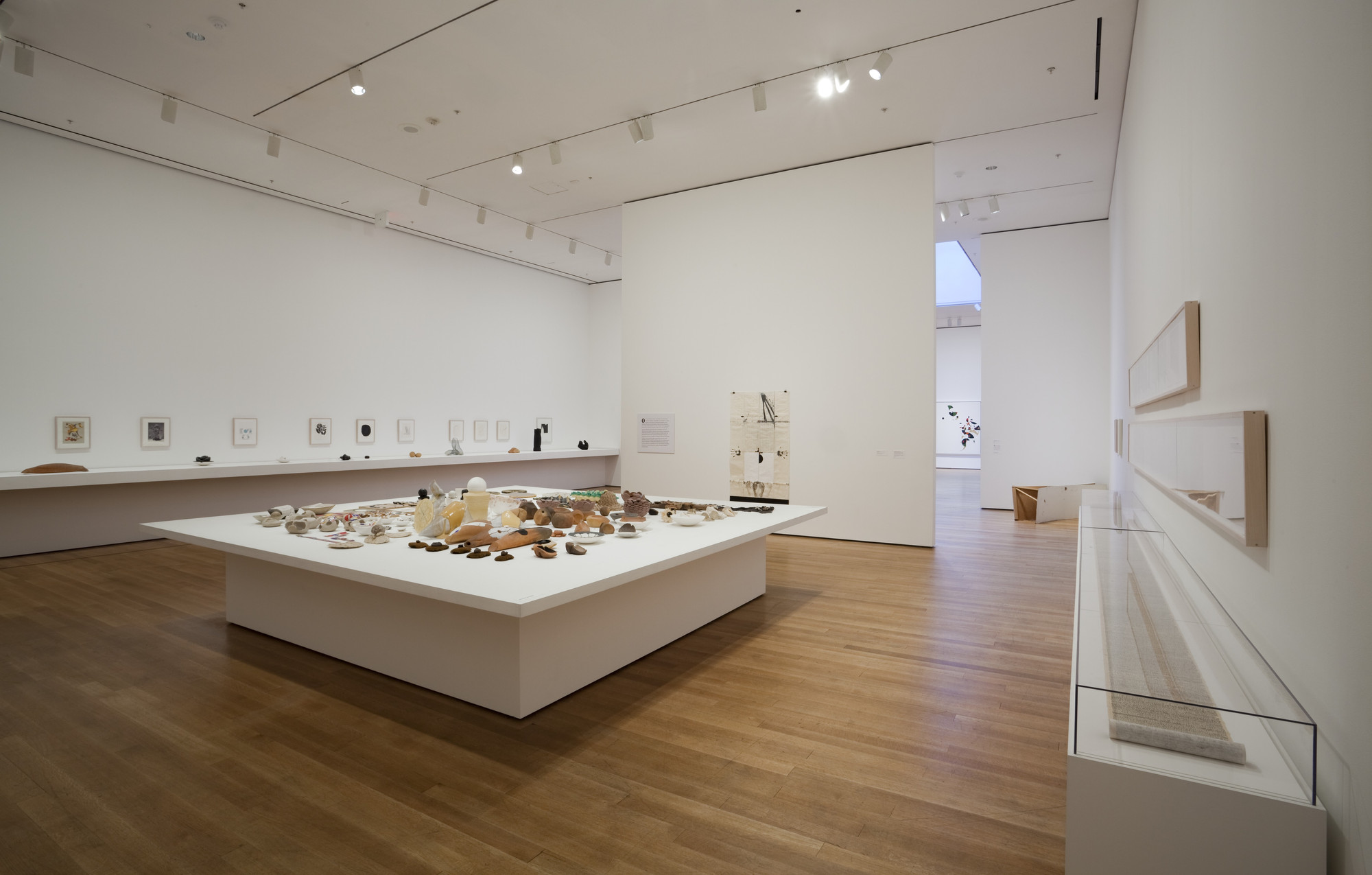 Installation view of the exhibition "Gabriel Orozco" | MoMA