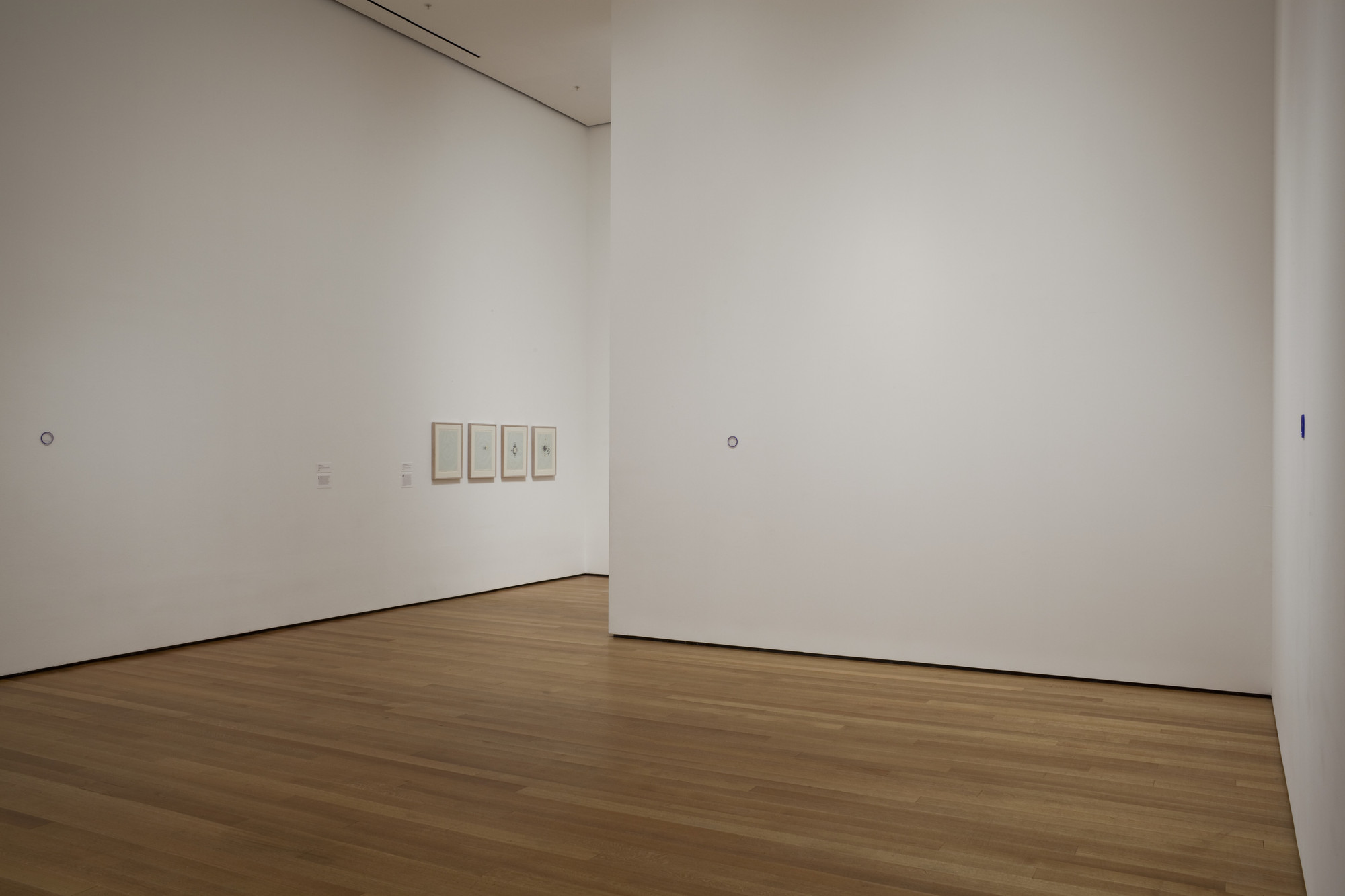 Installation view of the exhibition "Gabriel Orozco" | MoMA