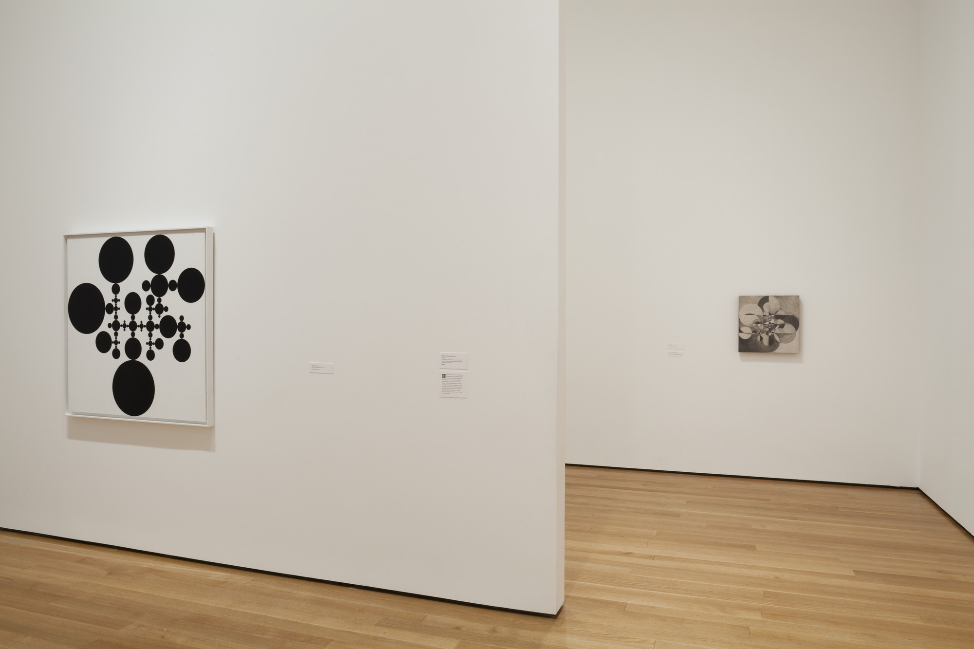 Installation view of the exhibition "Gabriel Orozco" | MoMA