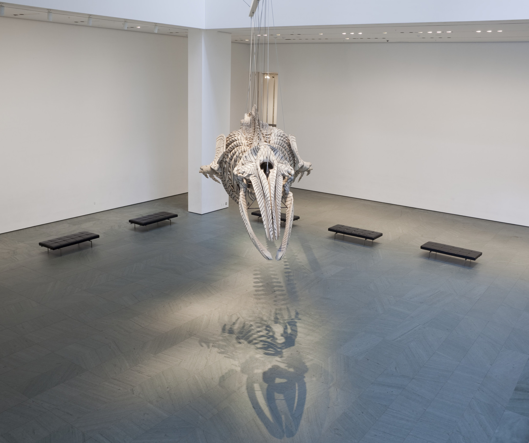 Installation view of the exhibition "Gabriel Orozco" | MoMA