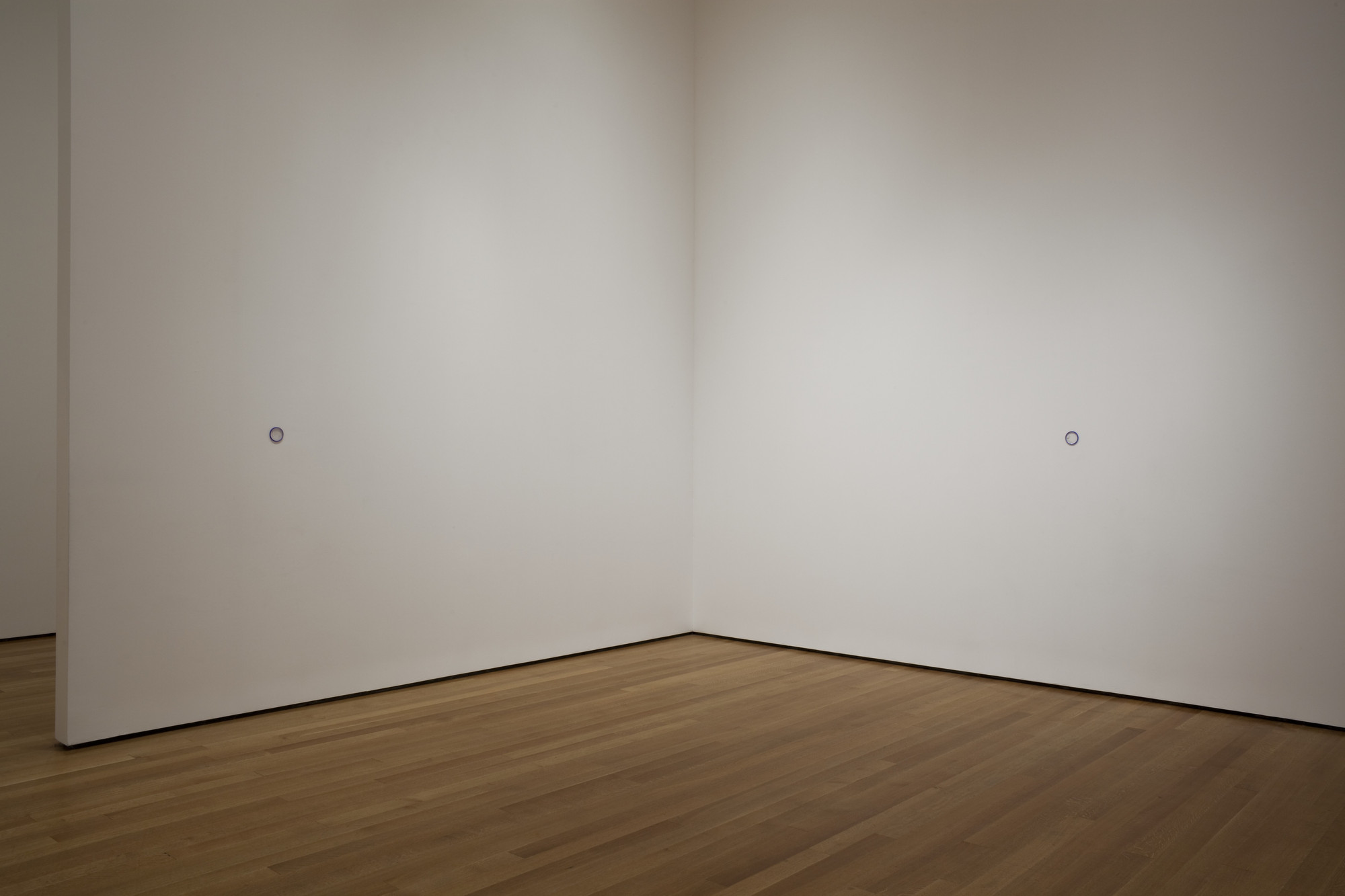 Installation view of the exhibition "Gabriel Orozco" | MoMA