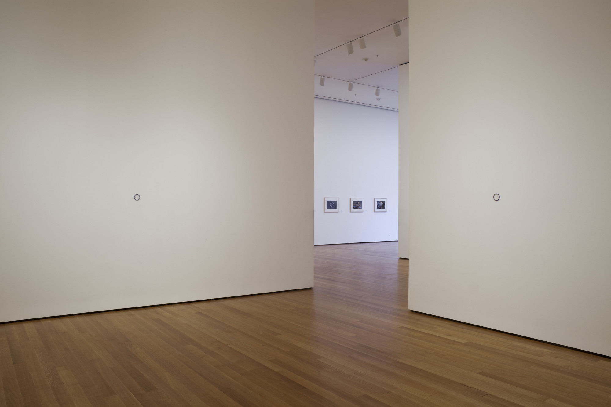 Installation view of the exhibition "Gabriel Orozco" | MoMA