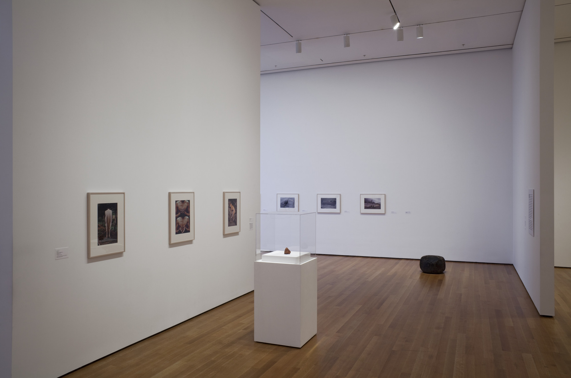 Installation view of the exhibition "Gabriel Orozco" | MoMA