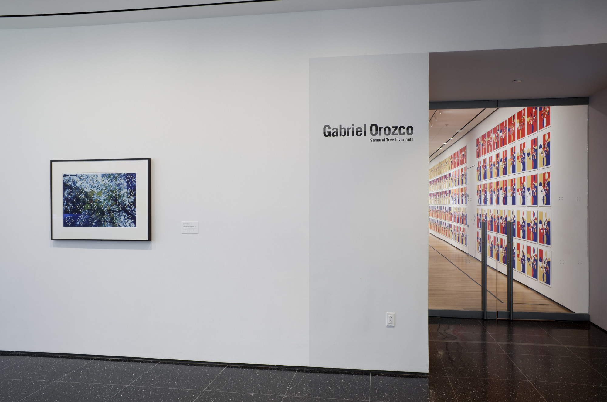 Installation view of the exhibition "Gabriel Orozco: Samurai Tree ...