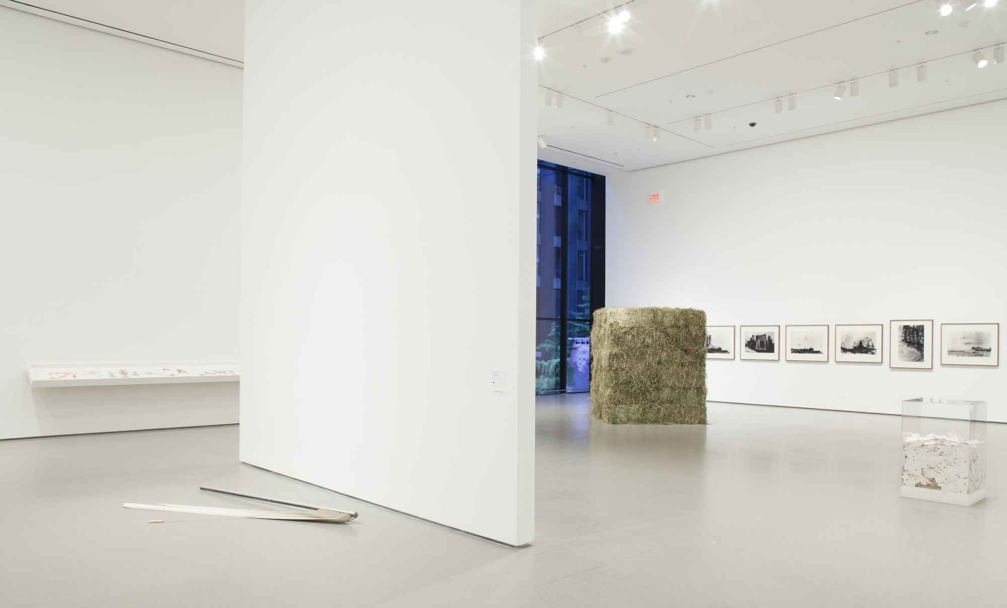 Installation view of the exhibition "Contemporary Art from the ...