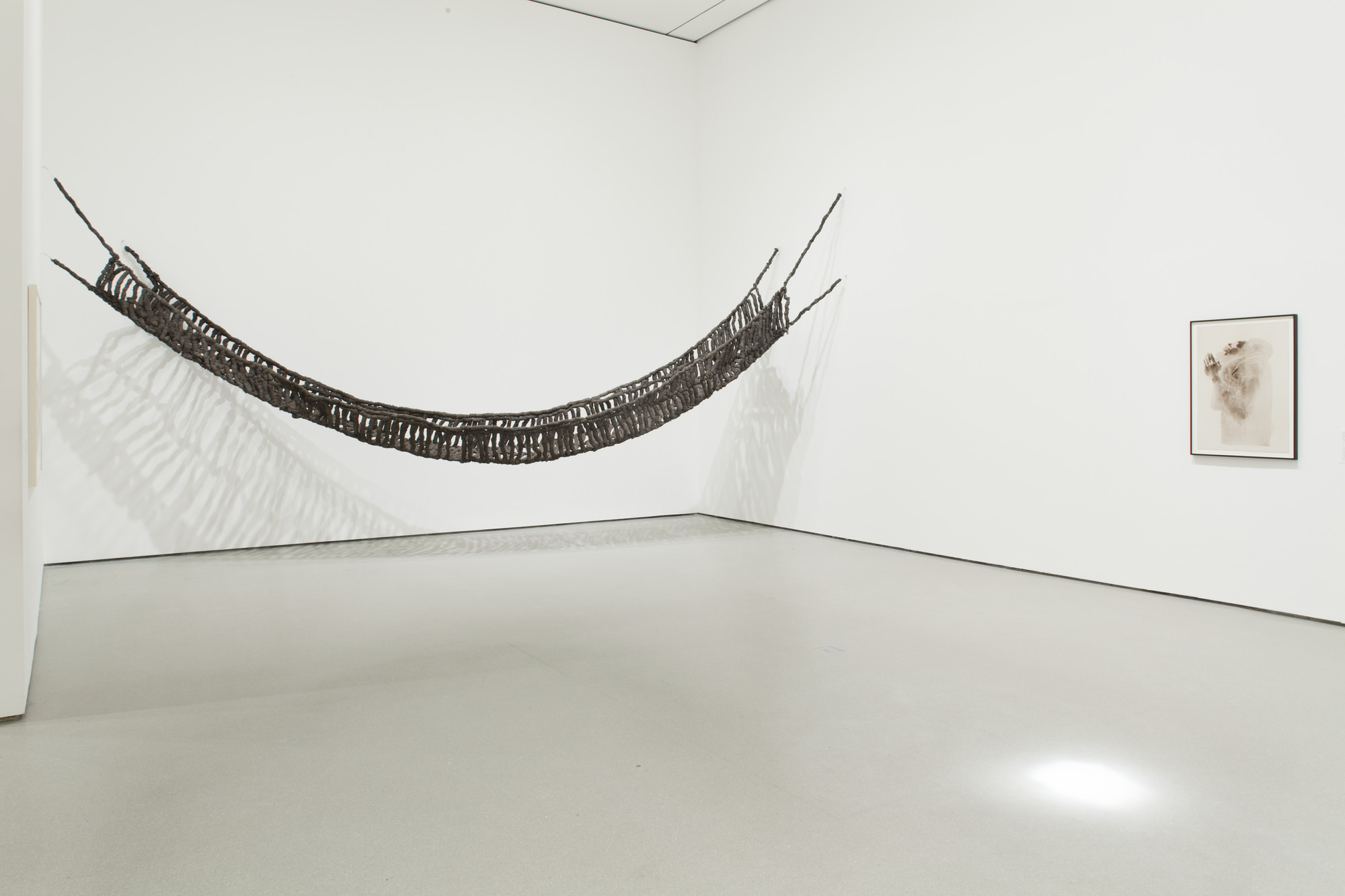 Installation view of the exhibition "Contemporary Art from the ...