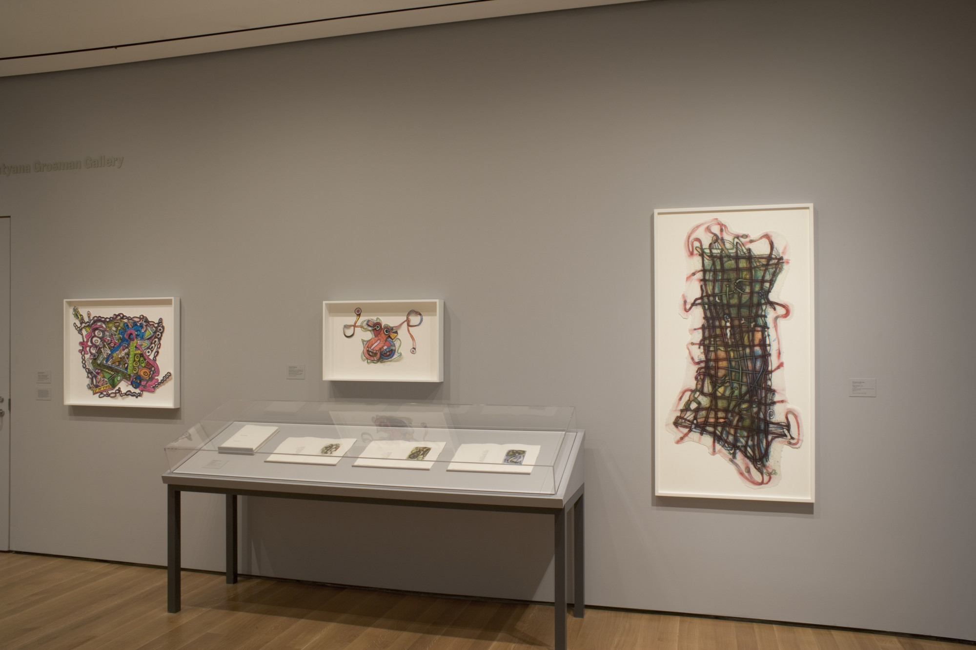 Installation view of the exhibition "Focus: Elizabeth Murray" | MoMA