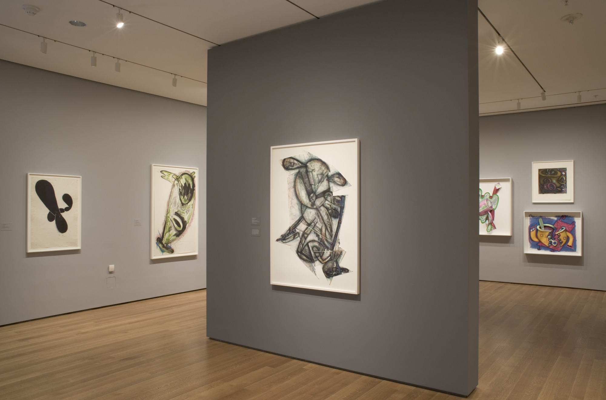 Installation view of the exhibition "Focus: Elizabeth Murray" | MoMA