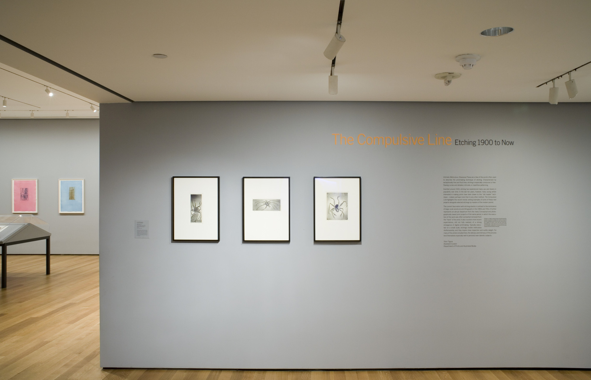 Installation view of the exhibition "The Compulsive Line: Etching 1900 ...