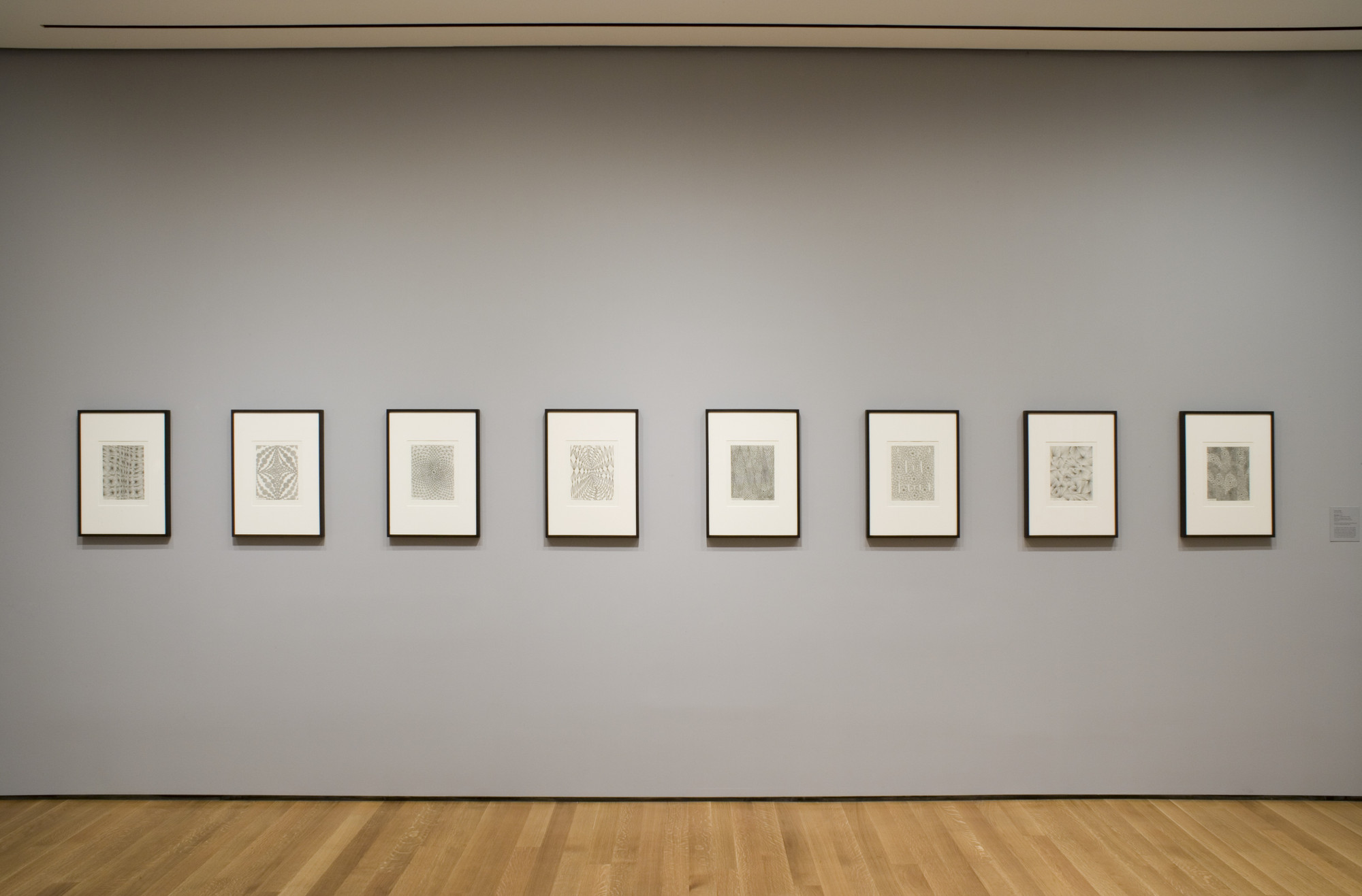 Installation view of the exhibition "The Compulsive Line: Etching 1900 ...