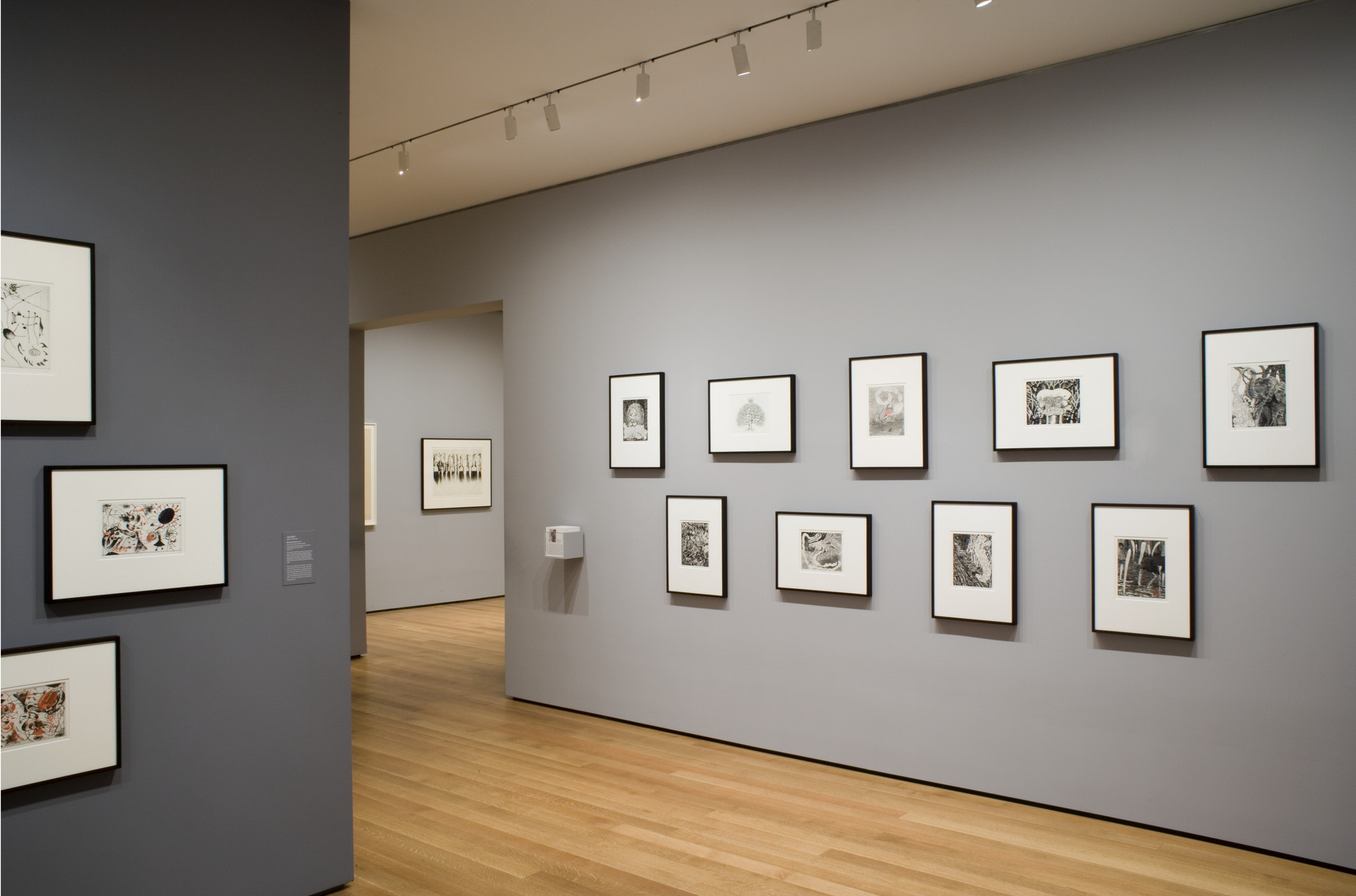 Installation view of the exhibition "The Compulsive Line: Etching 1900 ...