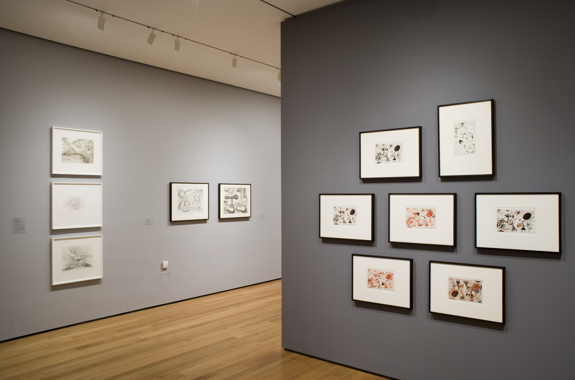 Installation view of the exhibition "The Compulsive Line: Etching 1900 ...