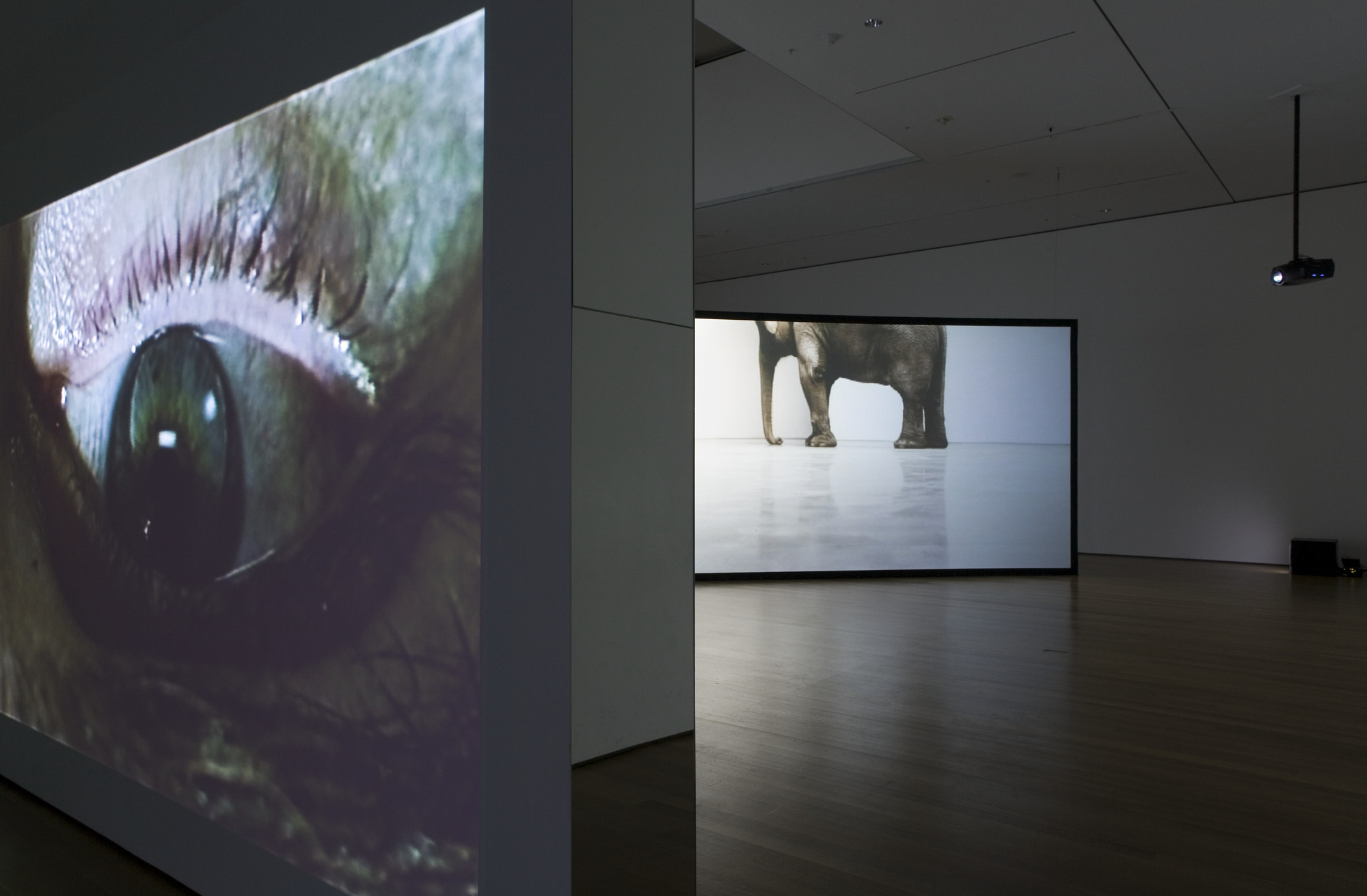 Installation view of the exhibition "Douglas Gordon: Timeline" | MoMA