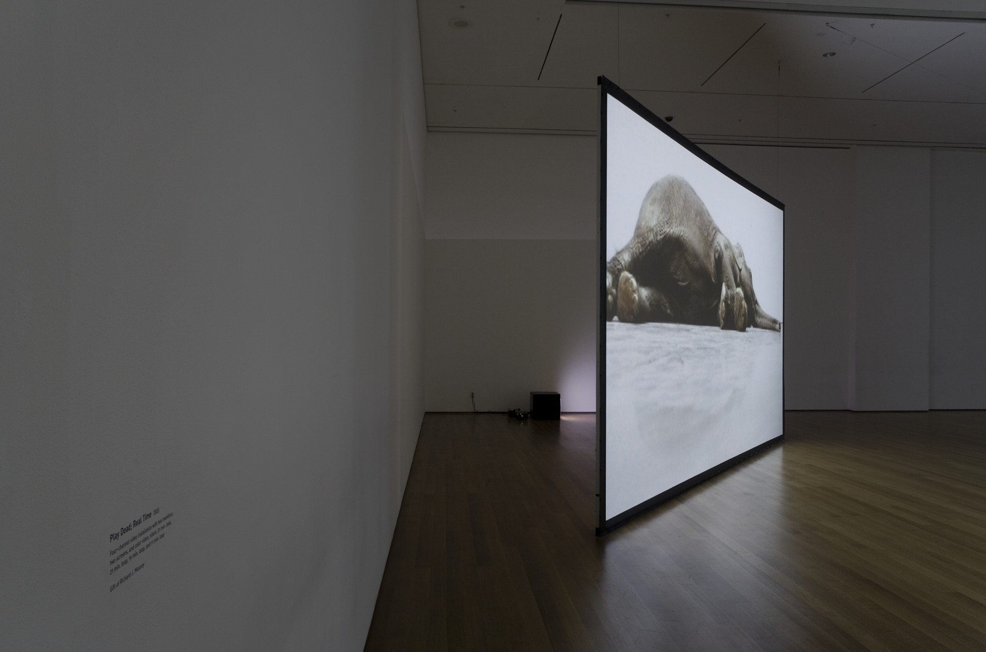 Installation view of the exhibition "Douglas Gordon: Timeline" | MoMA