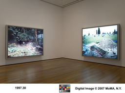 Jeff Wall | MoMA