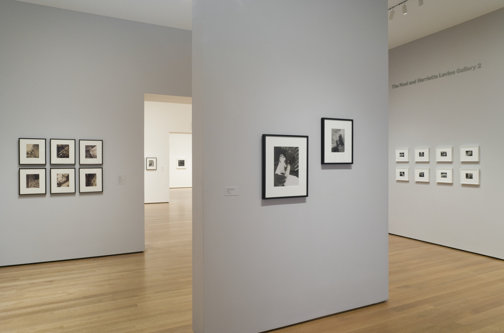Installation view of the exhibition "Edward Steichen Photography ...