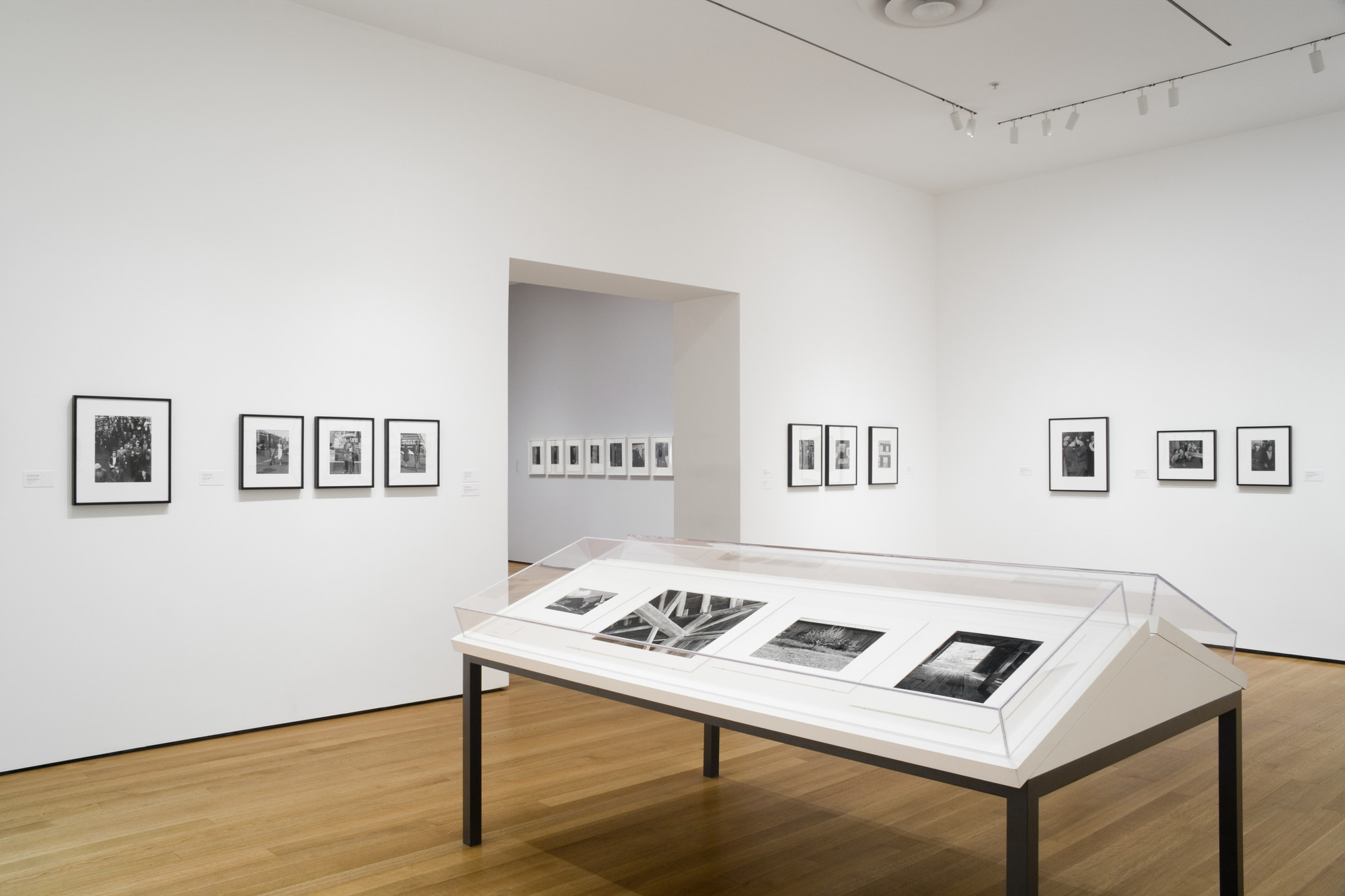 Installation view of the exhibition "Edward Steichen Photography ...
