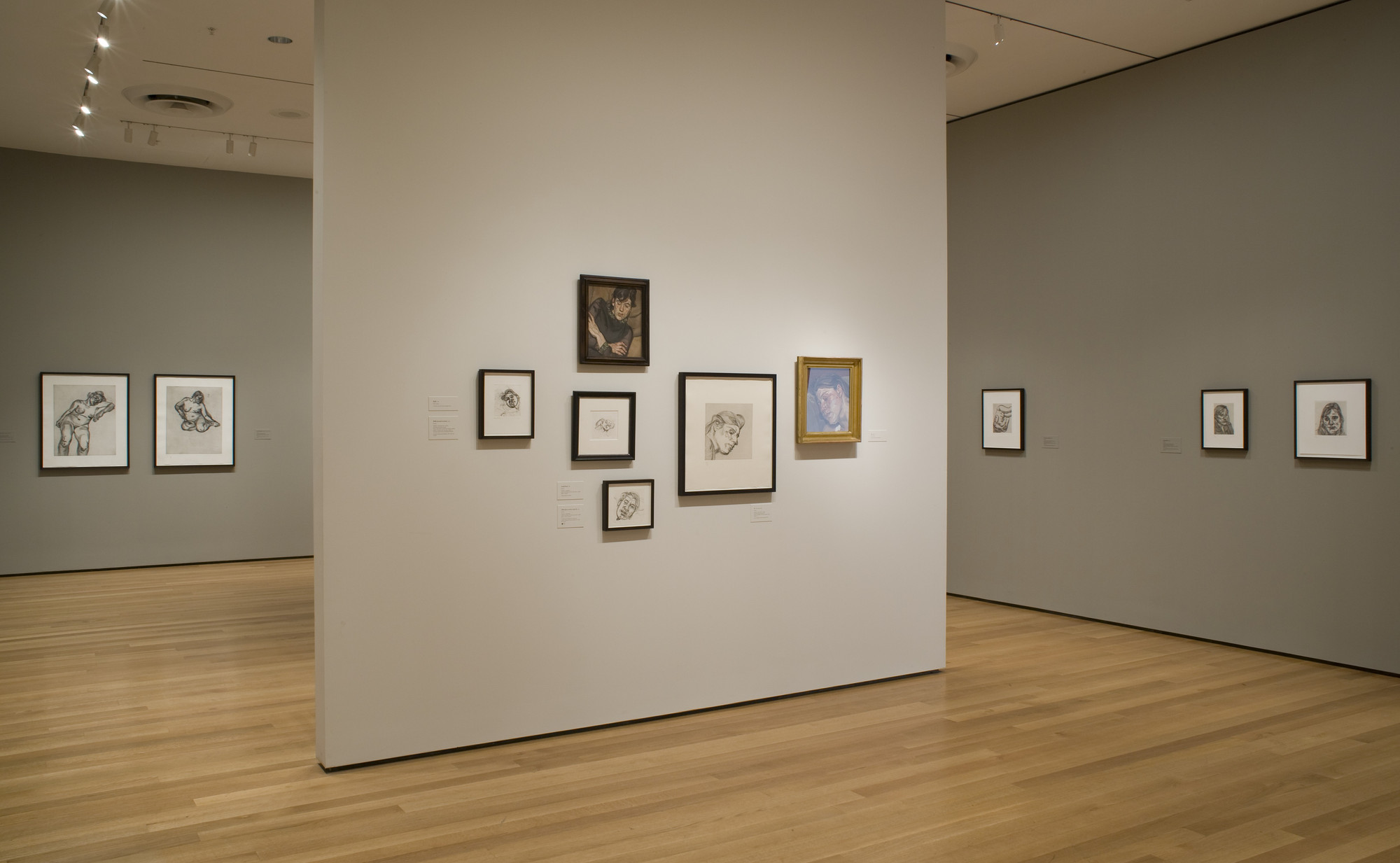 Installation view of the exhibition "Lucian Freud: The Painter's ...