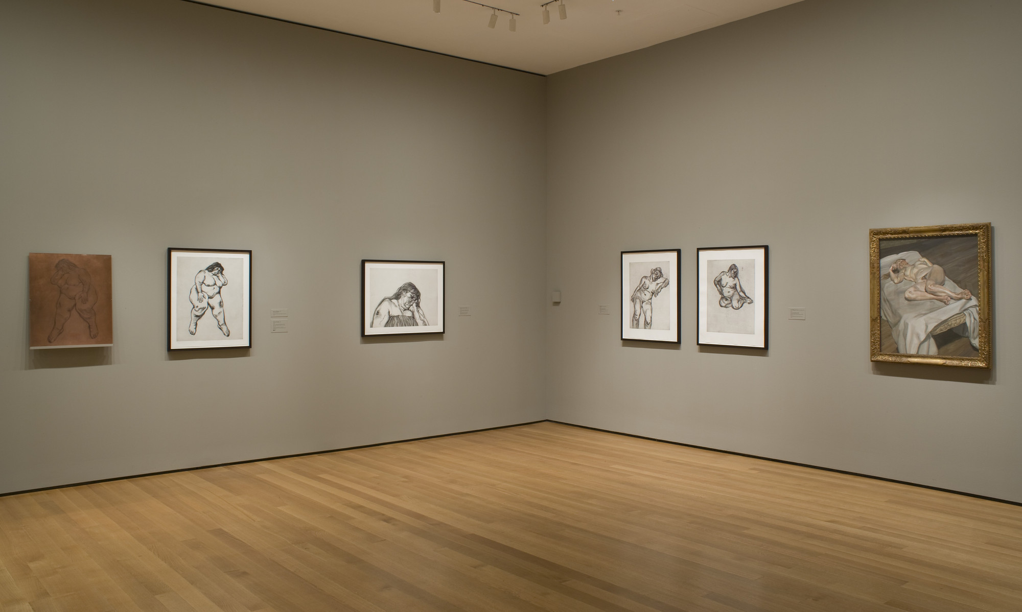 Installation view of the exhibition "Lucian Freud: The Painter's ...