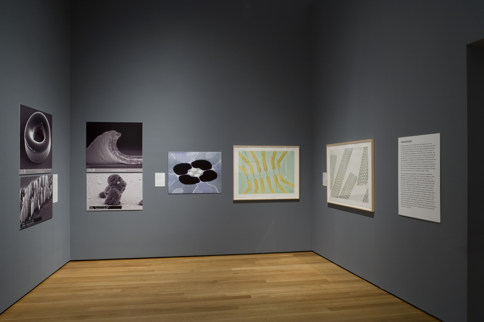 Installation view of the exhibition "Design and the Elastic Mind" | MoMA