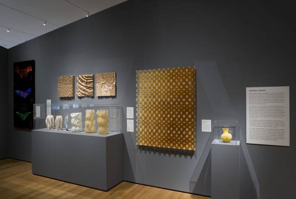 Tomáš Gabzdil Libertíny. The Honeycomb Vase "Made by Bees" (Prototype ...