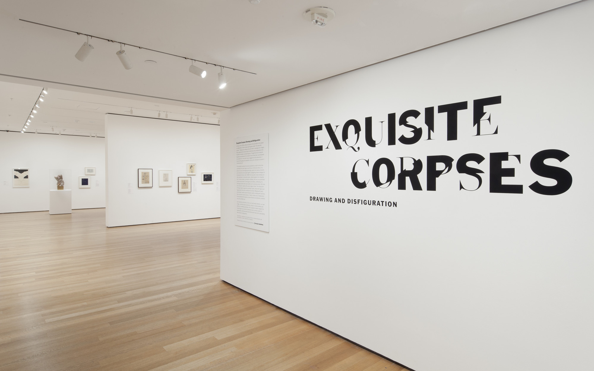Installation view of the exhibition "Exquisite Corpses: Drawing and ...