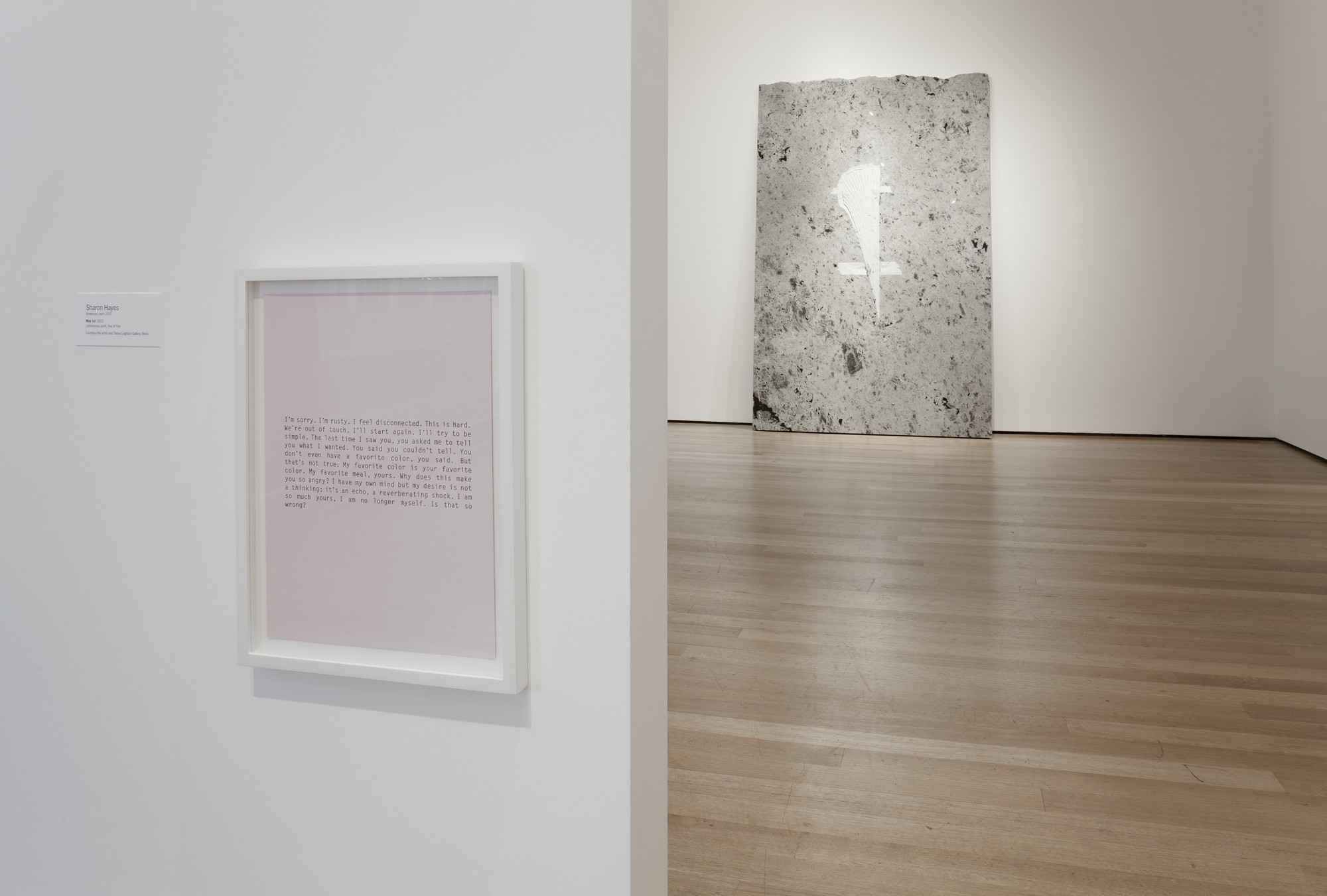 Installation view of the exhibition "Ecstatic Alphabets/Heaps of ...