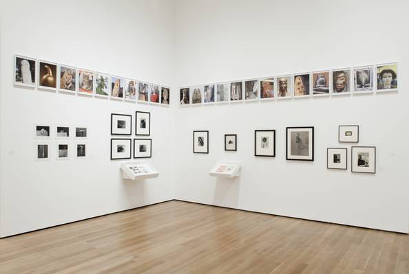 Rachel Harrison. Voyage of the Beagle. 2007 | MoMA