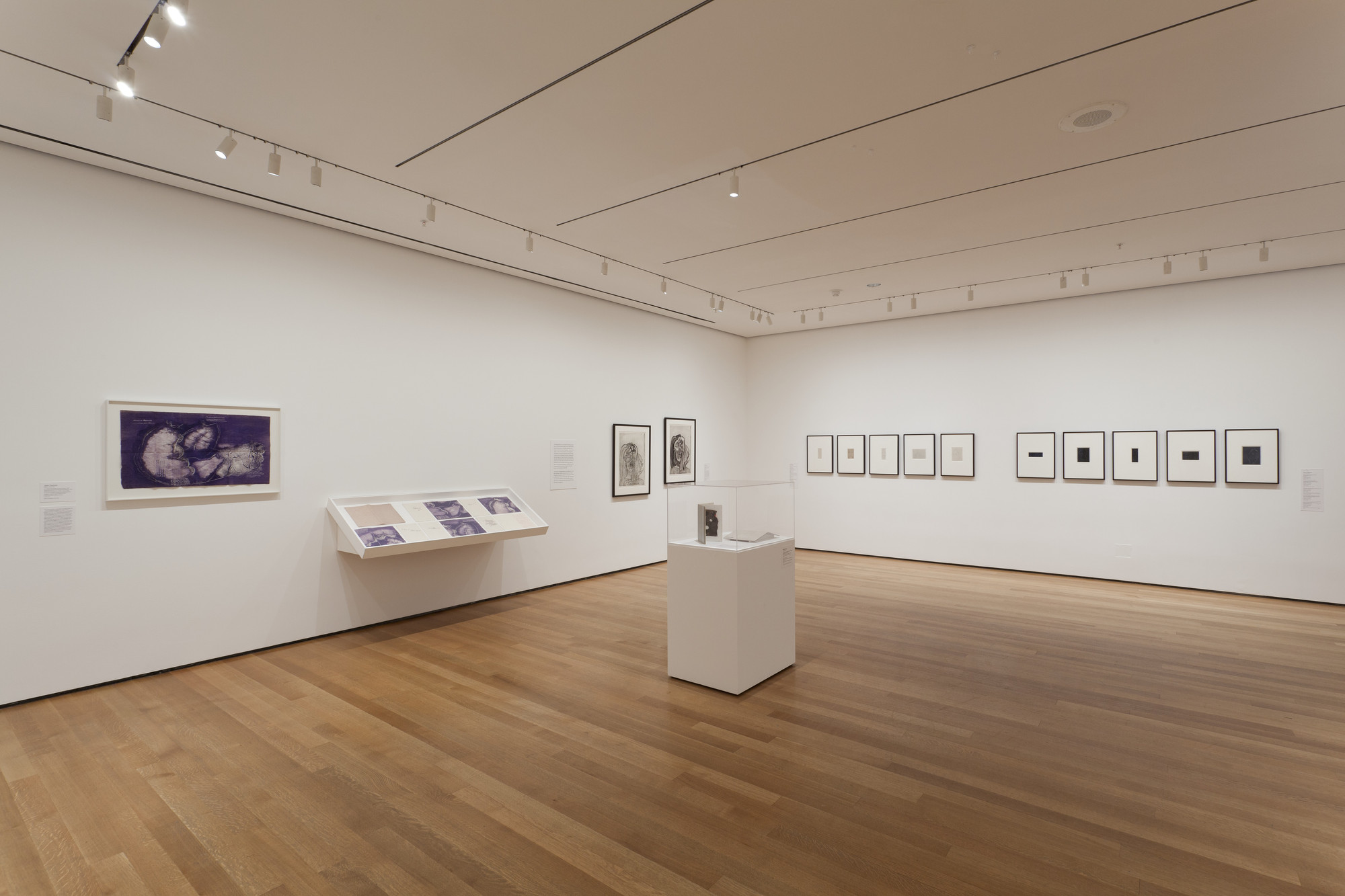 Installation view of the exhibition "New to the Print Collection ...