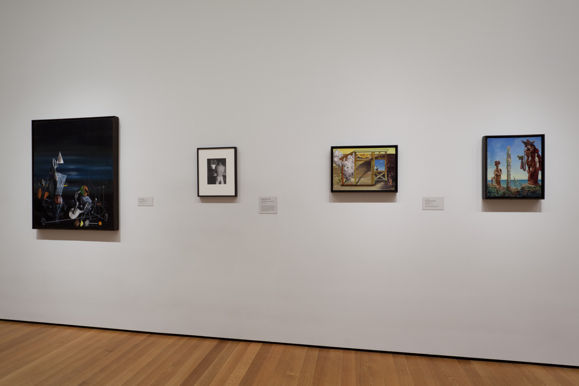 Installation view of the exhibition "Painting and Sculpture Changes ...